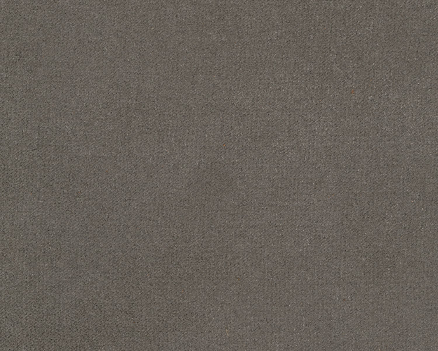 Darcy Chair | The Furniture Mart