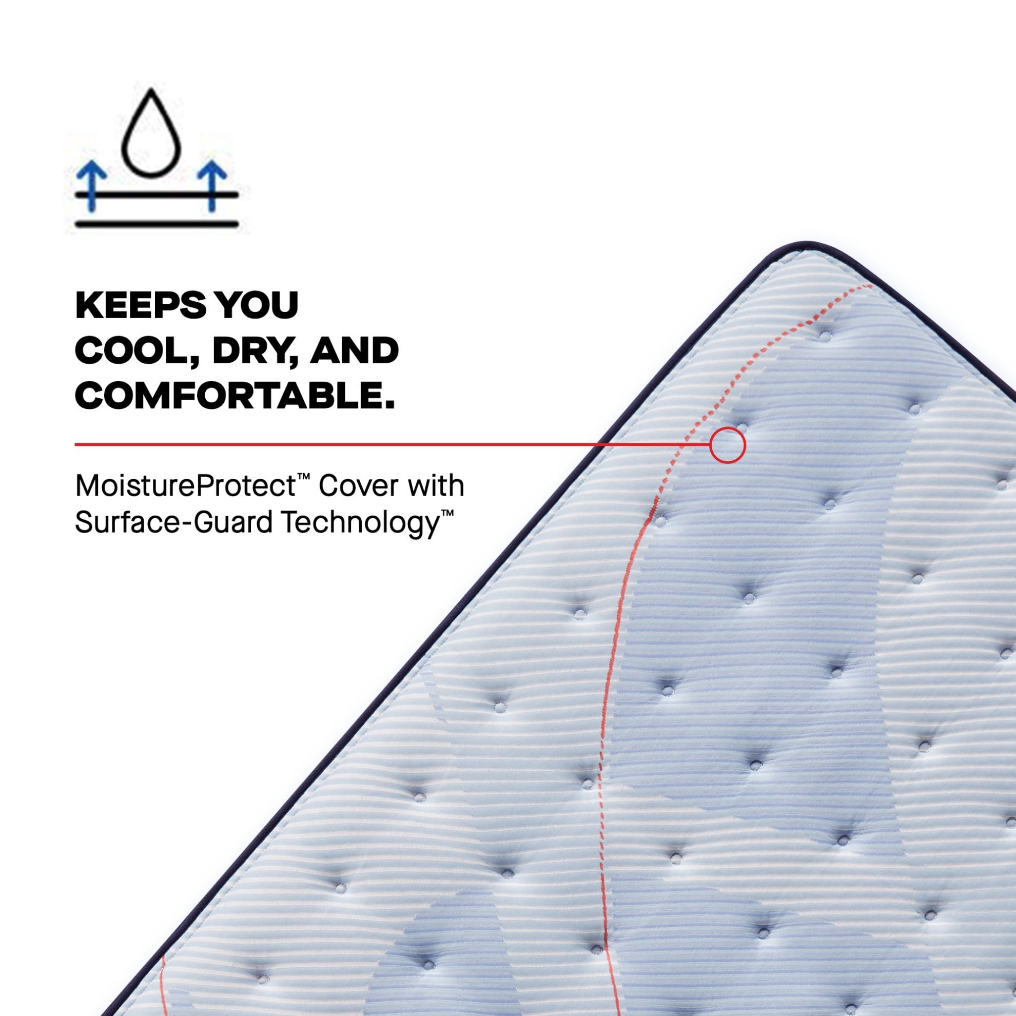 Plainfield Soft Queen Mattress | The Furniture Mart